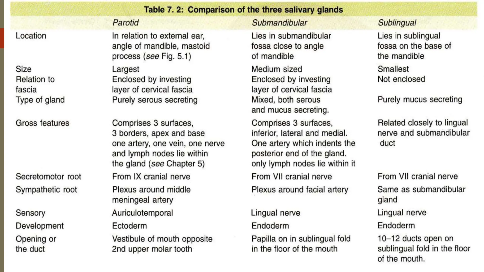 anatomy of submandibular region presentation | PPTX
