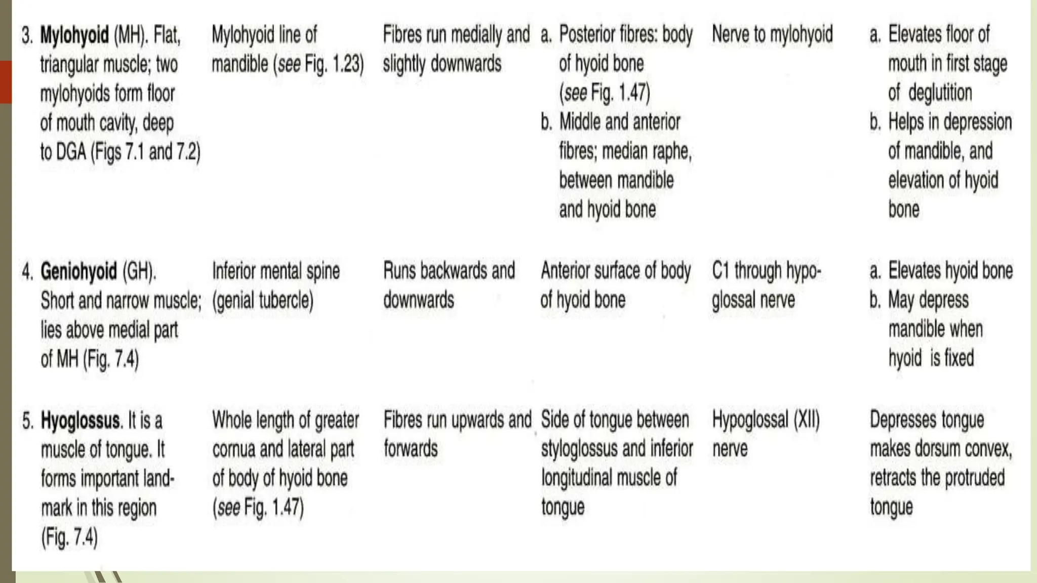 anatomy of submandibular region presentation | PPTX