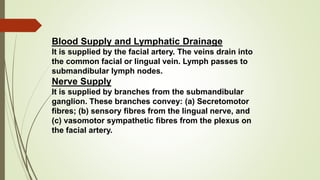 anatomy of submandibular region presentation | PPTX
