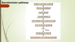 anatomy of submandibular region presentation | PPTX