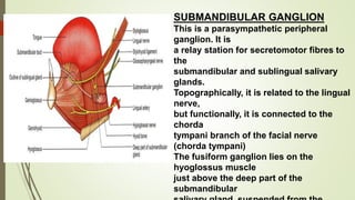 anatomy of submandibular region presentation | PPTX
