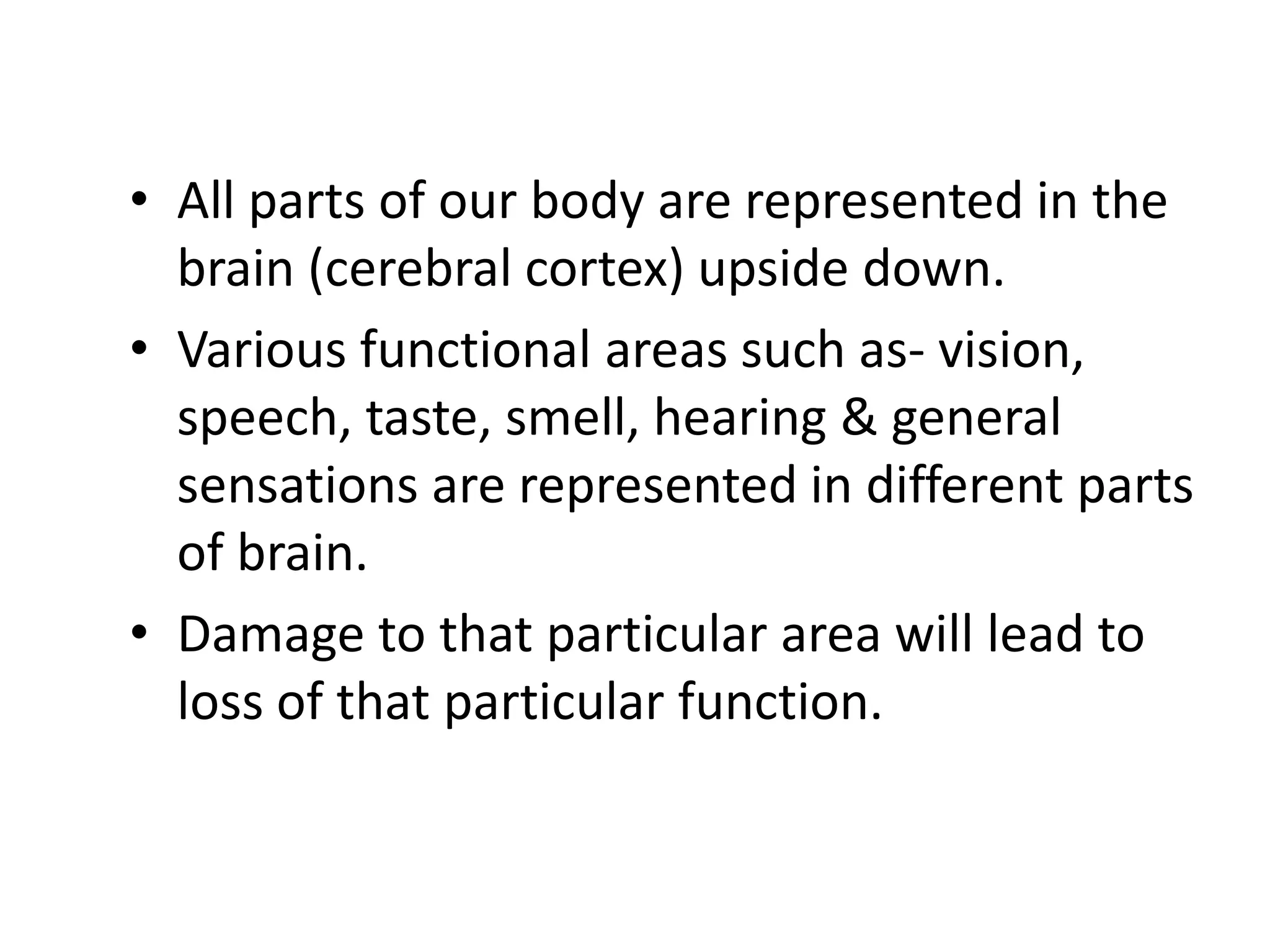 detailed Human Anatomy, various body part, detailed structure | PPTX