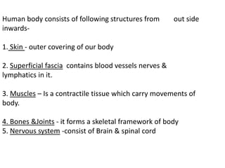 detailed Human Anatomy, various body part, detailed structure | PPTX
