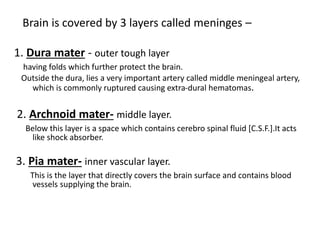 detailed Human Anatomy, various body part, detailed structure | PPTX