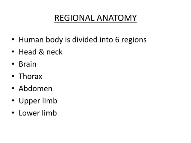 detailed Human Anatomy, various body part, detailed structure | PPT