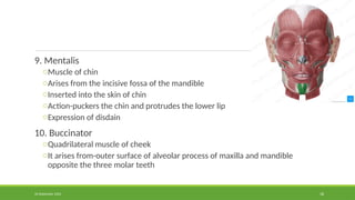 MUSCLES OF FACIAL EXPRESSION........................ | PPTX