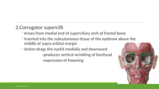 MUSCLES OF FACIAL EXPRESSION........................ | PPTX