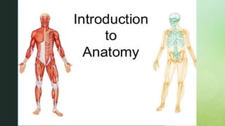 anatomy course for Engineering studentss | PPT