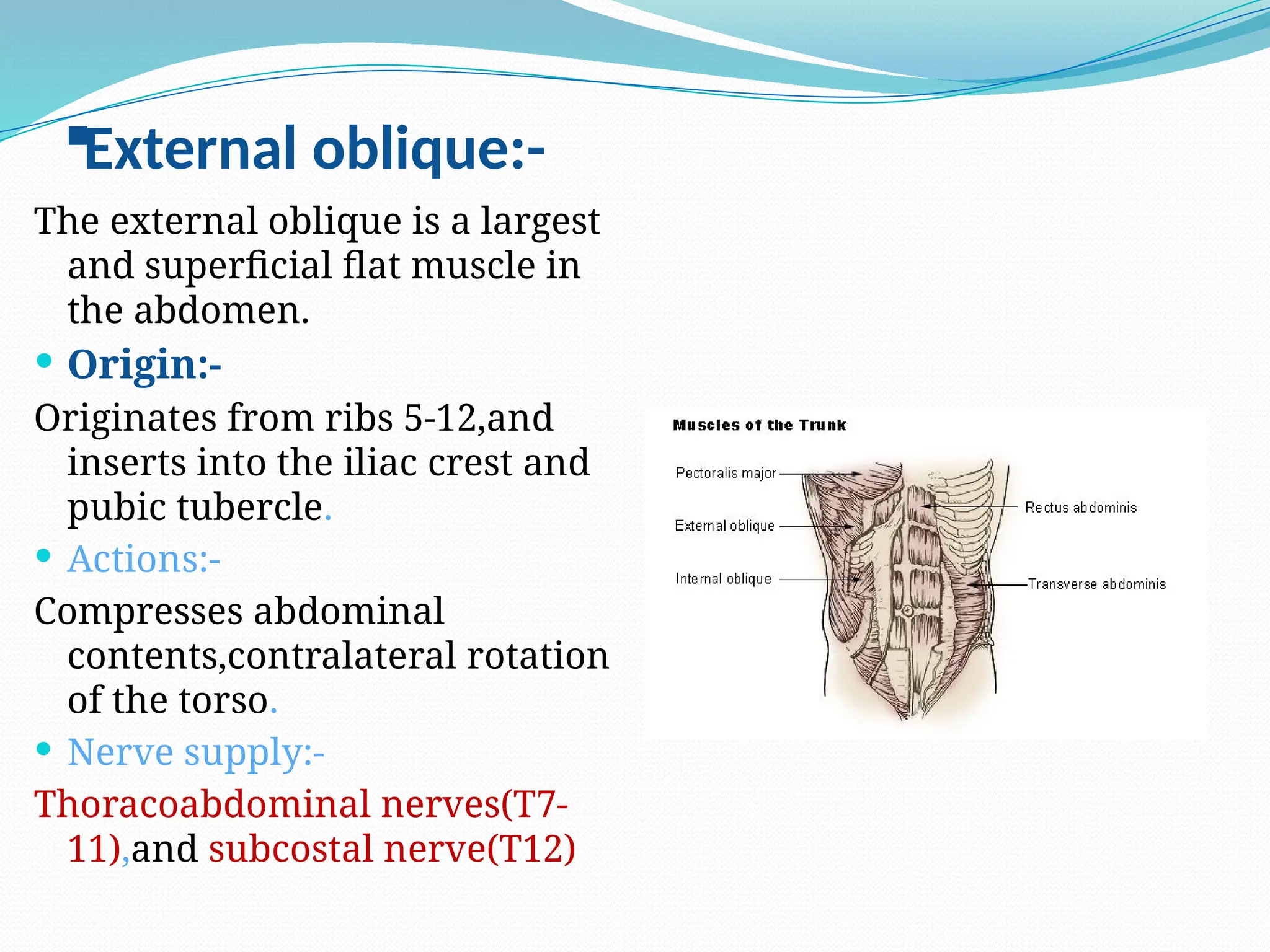 Anatomy.pptx............................ | PPTX