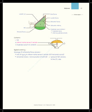 PDF of anatomy.pdf notes prepladder marrow | PDF