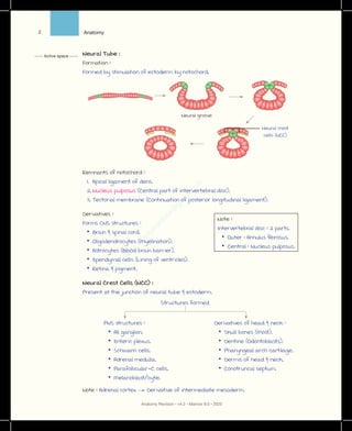 PDF of anatomy.pdf notes prepladder marrow | PDF