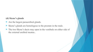 Female reproductive organs, external and internal genitals | PPTX