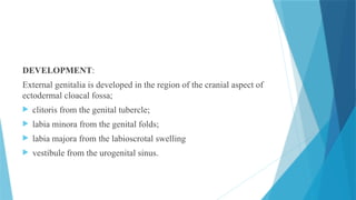 Female reproductive organs, external and internal genitals | PPTX