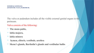 Female reproductive organs, external and internal genitals | PPTX