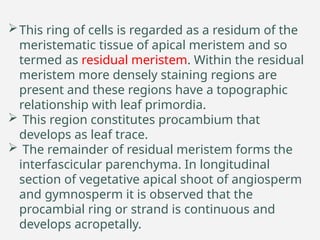 Anatomy- Cambium: Interfascicular and Intrafascicular Cambium | PPTX