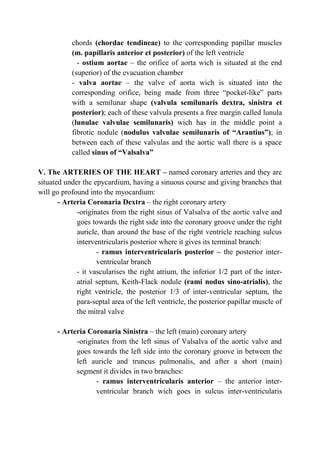 Anatomy organs. | PDF