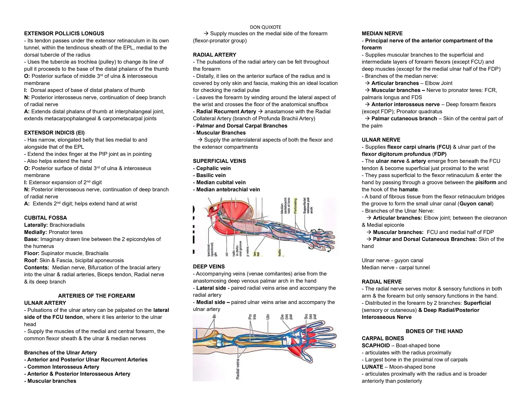 ANATOMY-3-Axilla-and-Arm-Forearm-and-Hand.pdf