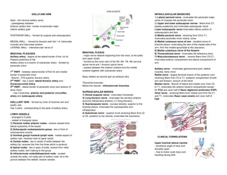 ANATOMY-3-Axilla-and-Arm-Forearm-and-Hand.pdf