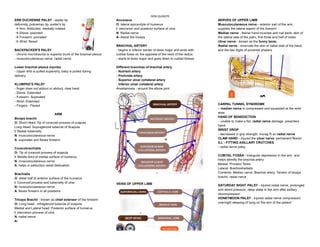 ANATOMY-3-Axilla-and-Arm-Forearm-and-Hand.pdf