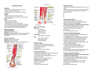 ANATOMY-3-Axilla-and-Arm-Forearm-and-Hand.pdf