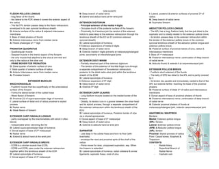 ANATOMY-3-Axilla-and-Arm-Forearm-and-Hand.pdf