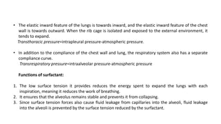 Anatomy-3 (2).pptx zkzkzkzkkzkzkzkzkzkzkkz | PPT