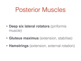 Anatomy 4-images* | PPT