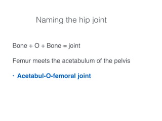 Anatomy 4-images* | PPT