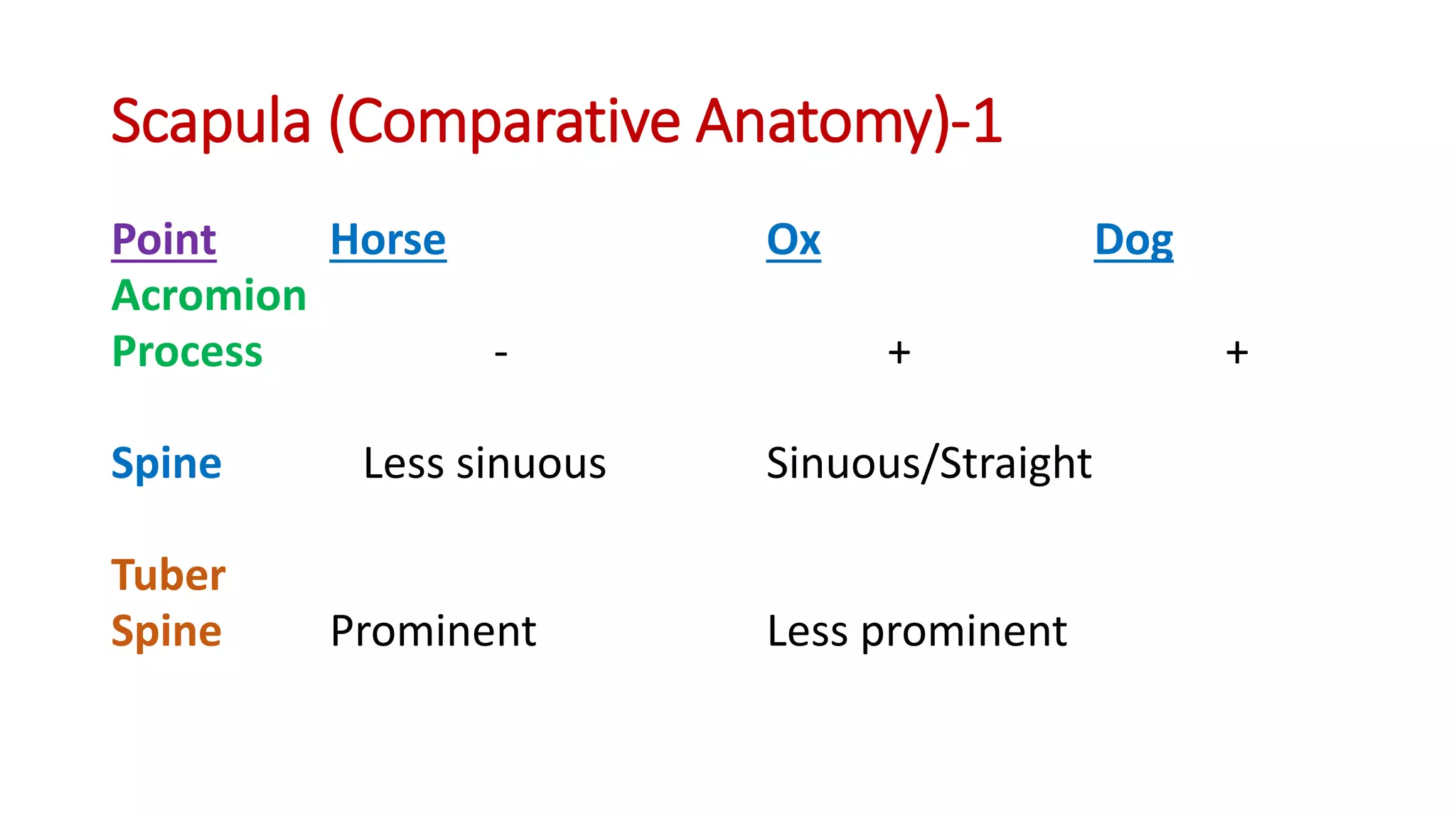 Anatomy-4; Scapula, Humerus.pptx