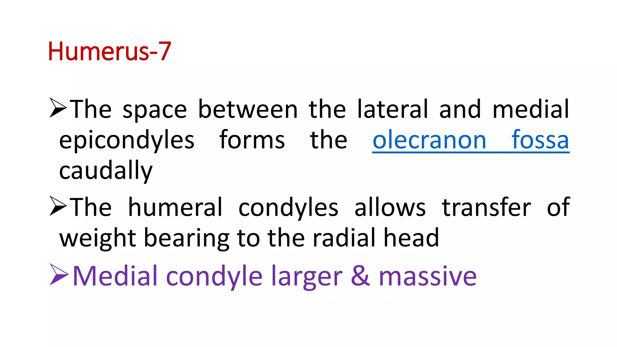 Anatomy-4; Scapula, Humerus.pptx