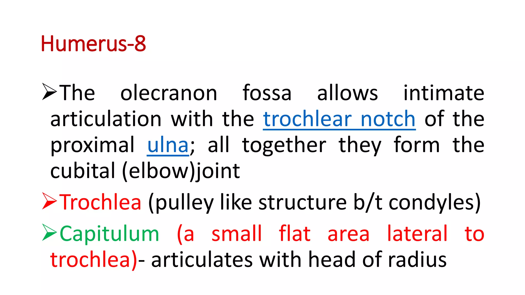 Anatomy-4; Scapula, Humerus.pptx