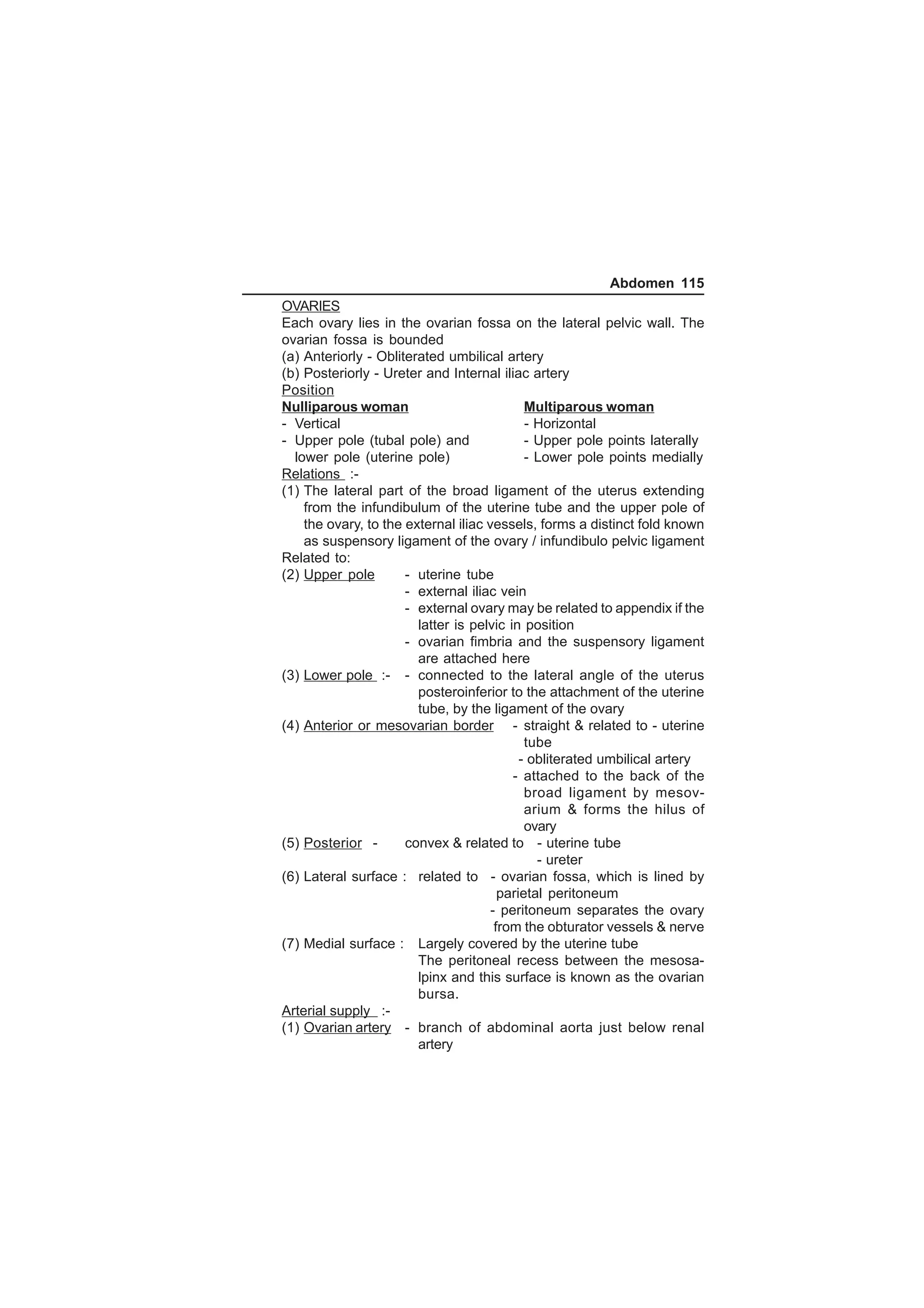 Anatomy abdomen Mcqs | PDF