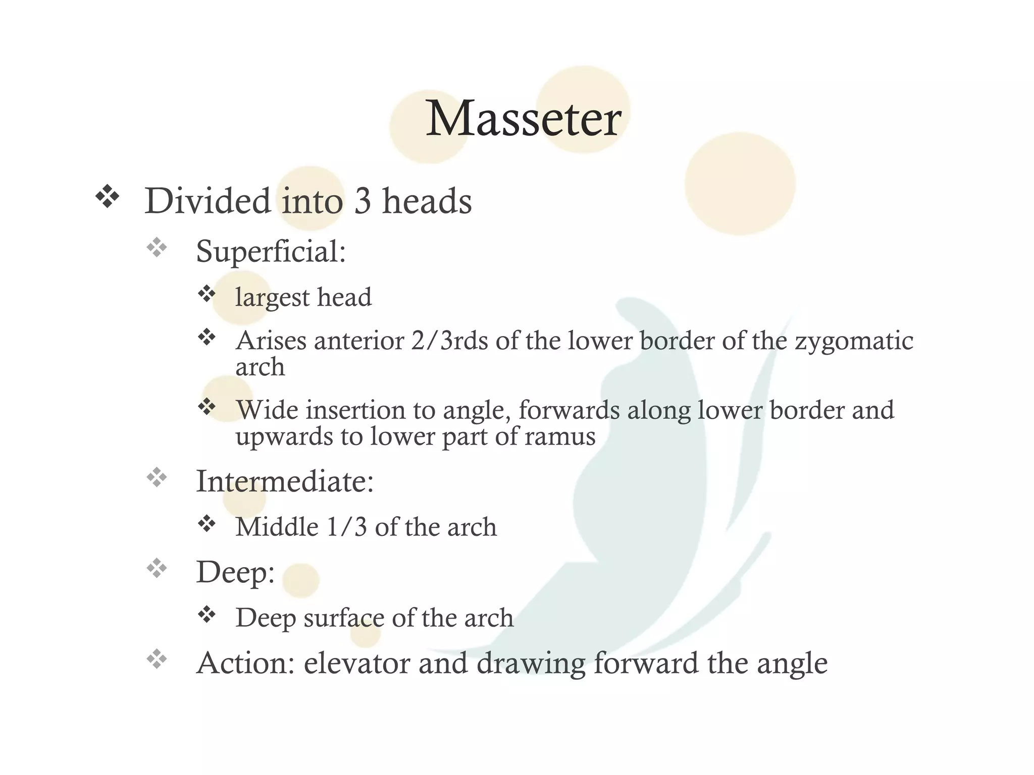 Anatomy and-fractures-of-the-mandible | PPT