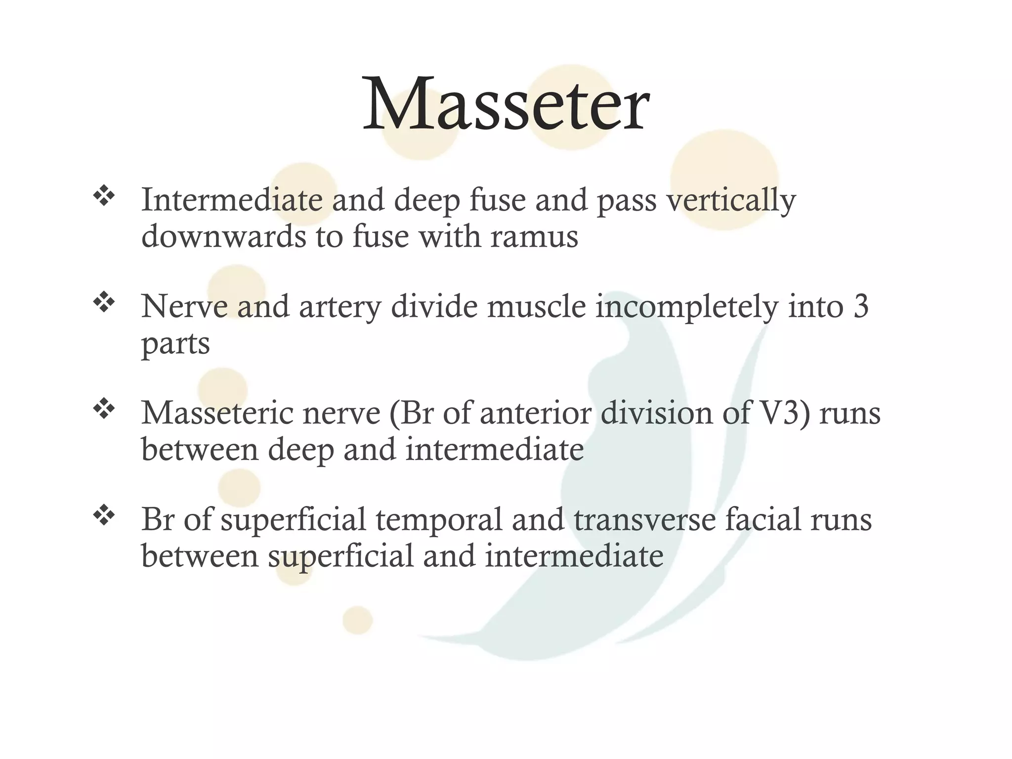 Anatomy and-fractures-of-the-mandible | PPT