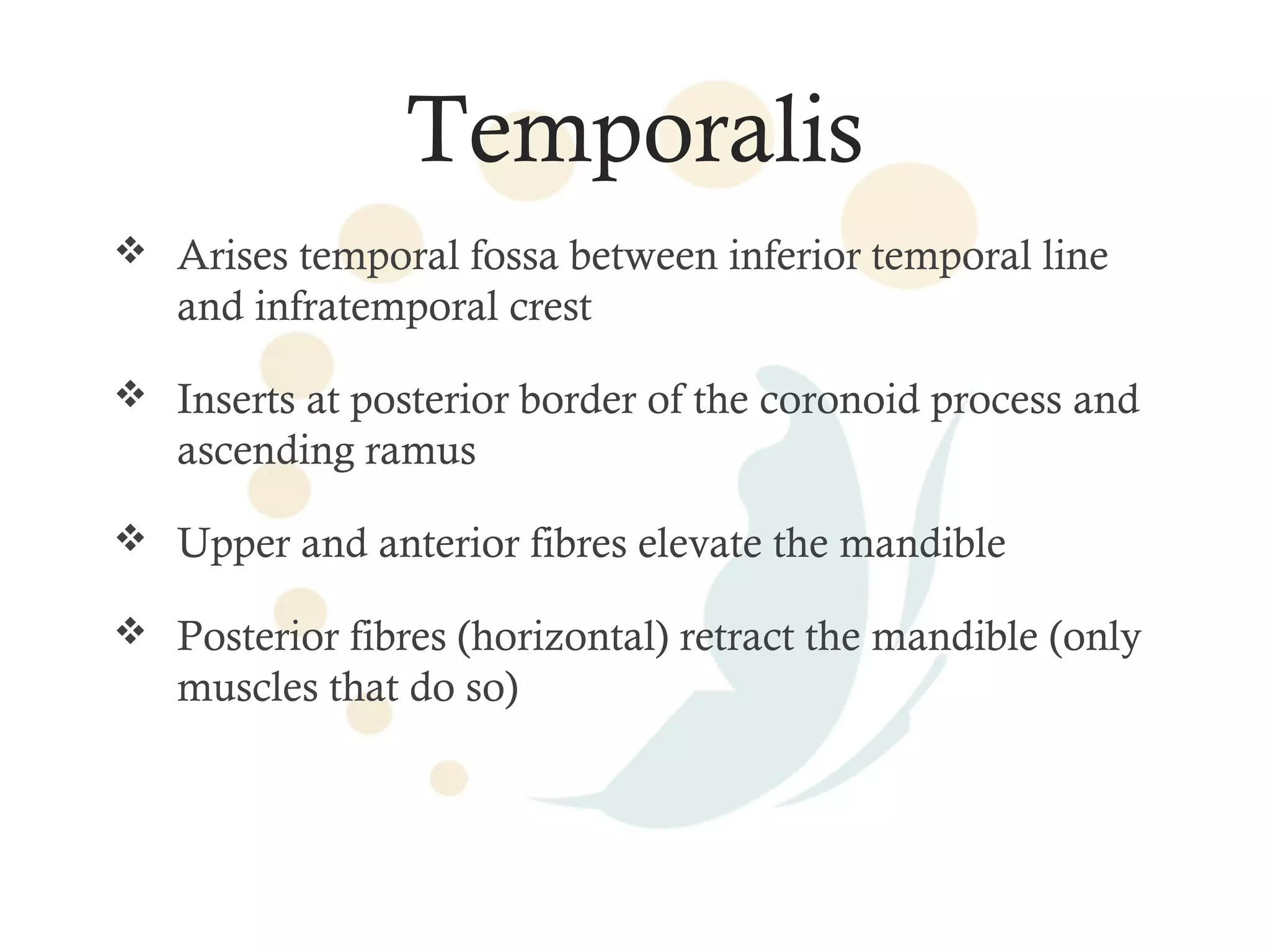 Anatomy and-fractures-of-the-mandible | PPT
