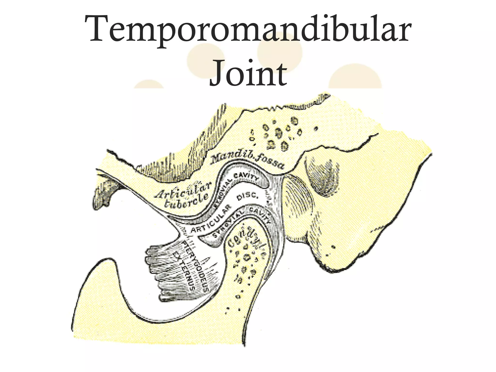Anatomy and-fractures-of-the-mandible | PPT