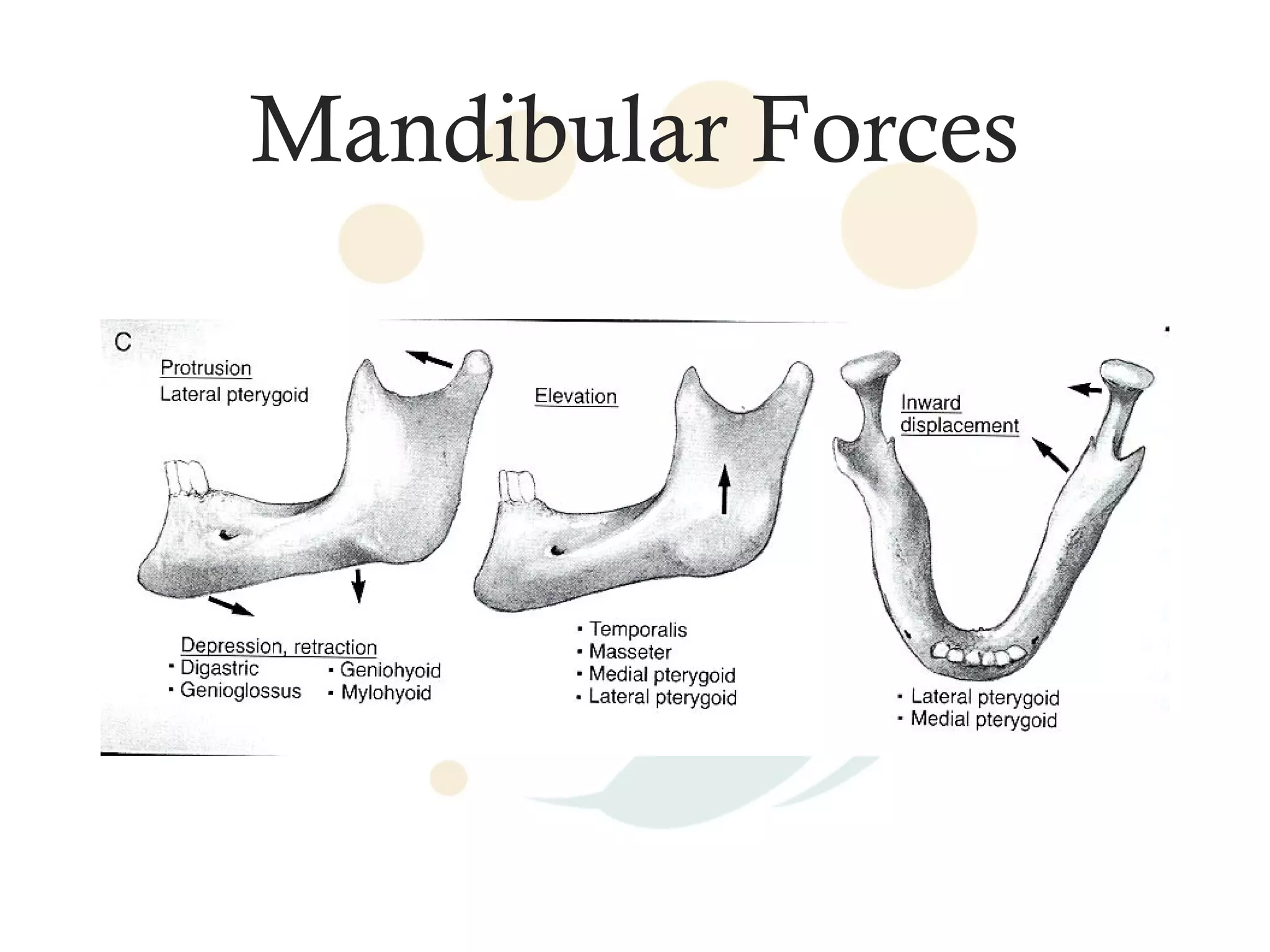 Anatomy and-fractures-of-the-mandible | PPT