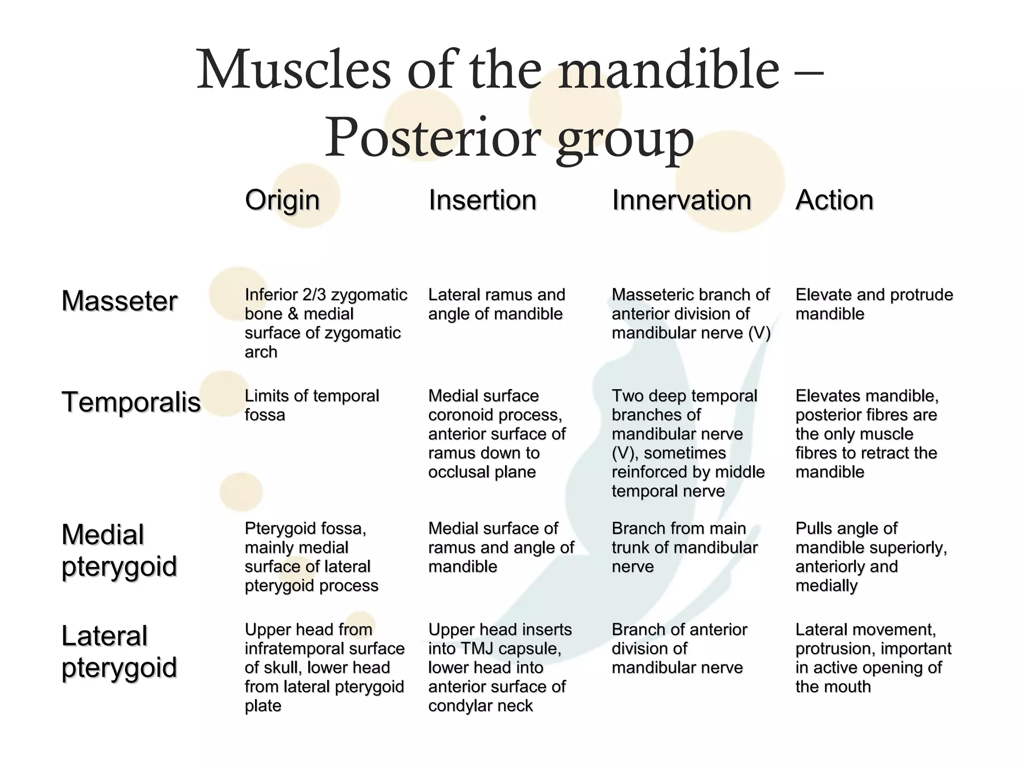 Anatomy and-fractures-of-the-mandible | PPT