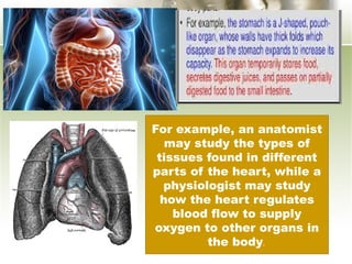 Anatomy-and-Physiology- Level 1 Powerpoint | PPTX