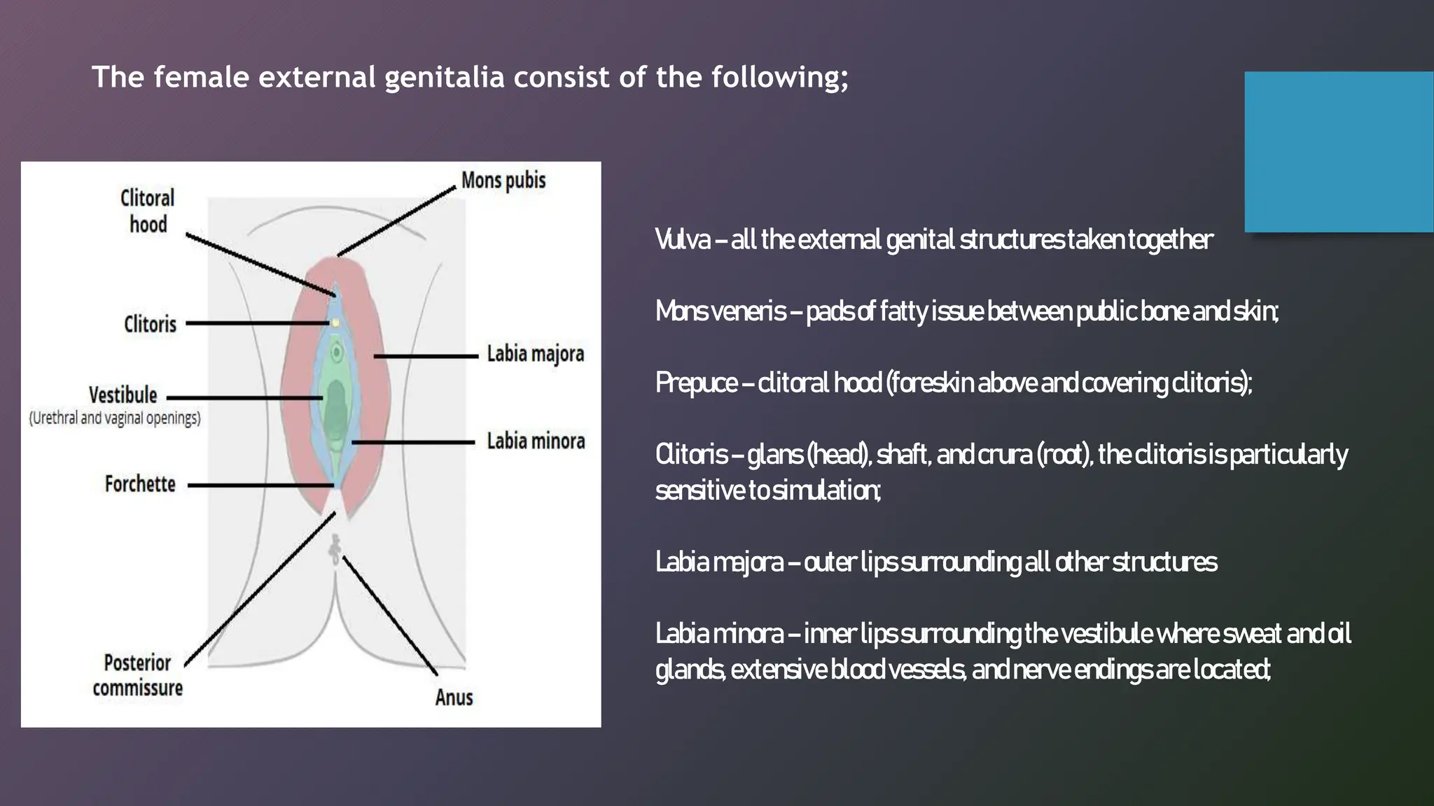 ANATOMY AND PHYSIOLOgy pptx ANATOMY AND PHYSIOLOgy pptx