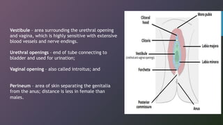 ANATOMY AND PHYSIOLOgy pptx ANATOMY AND PHYSIOLOgy pptx