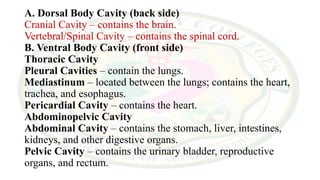 ANATOMY-AND-PHYSIOLOGY-LABORATORY-week-1.pptx