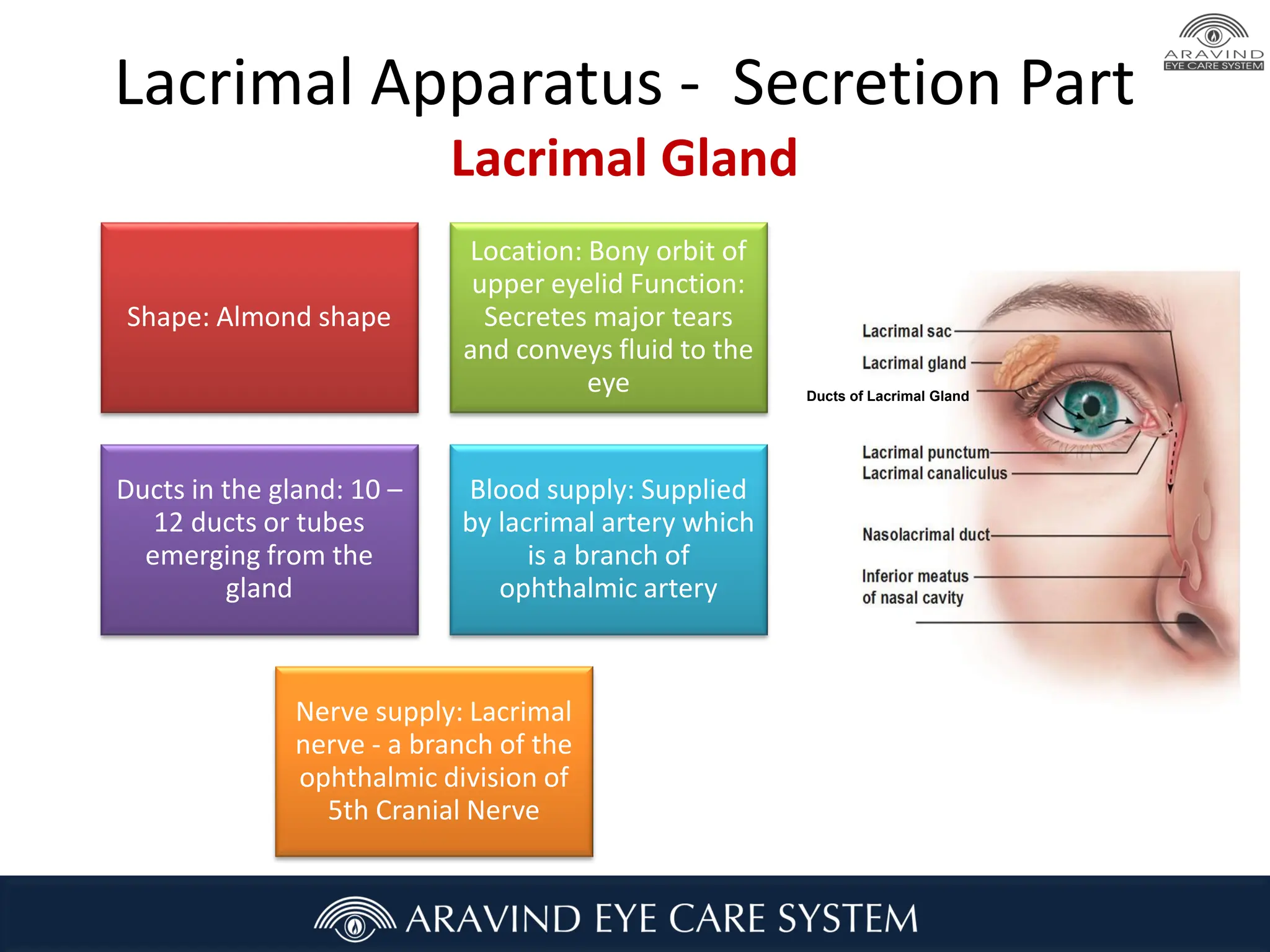 Anatomy-and-Physiology-of-Lacrimal-System.pdf