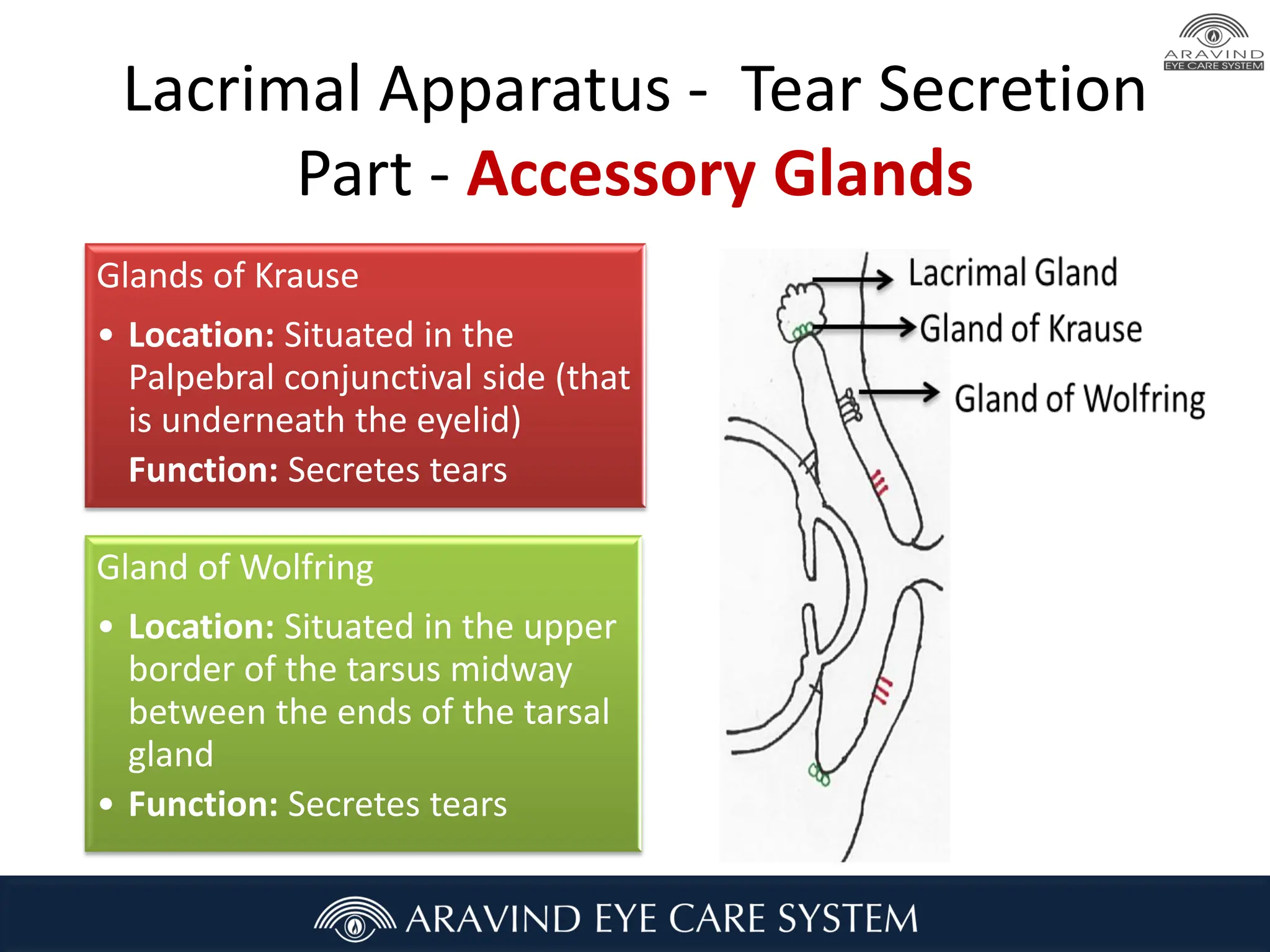 Anatomy-and-Physiology-of-Lacrimal-System.pdf