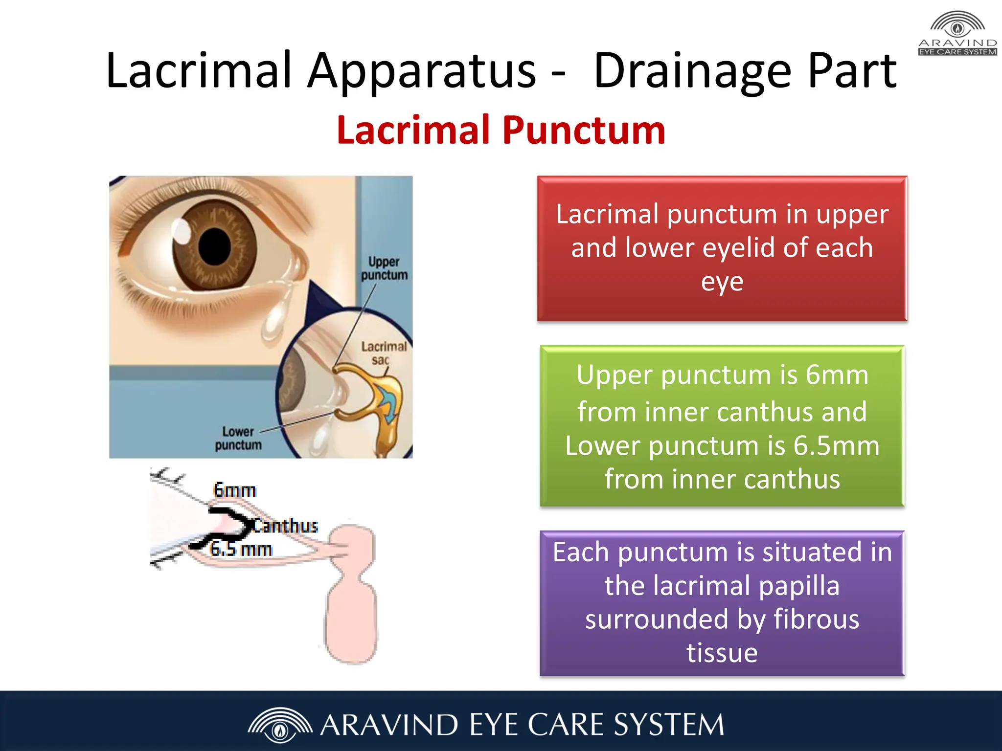 Anatomy-and-Physiology-of-Lacrimal-System.pdf