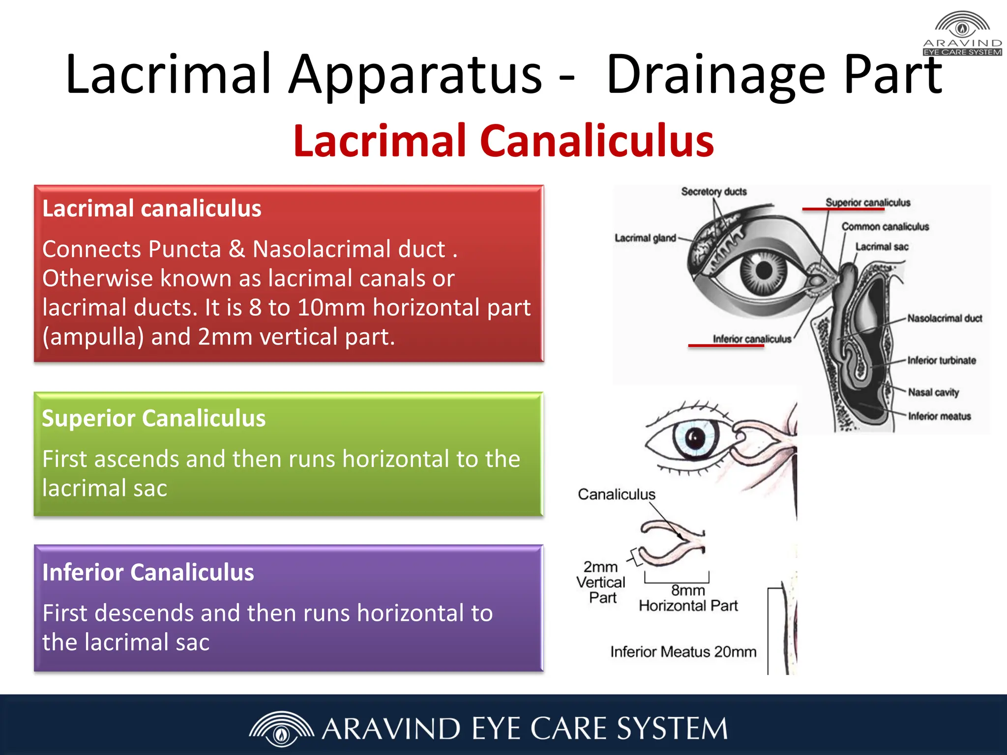 Anatomy-and-Physiology-of-Lacrimal-System.pdf