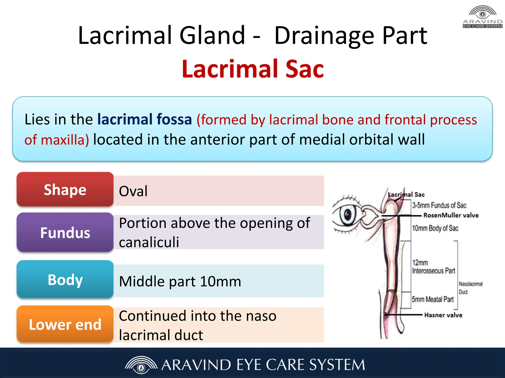 Anatomy-and-Physiology-of-Lacrimal-System.pdf