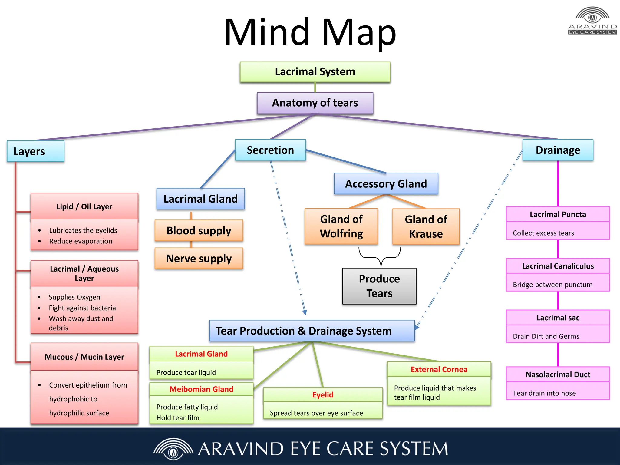 Anatomy-and-Physiology-of-Lacrimal-System.pdf