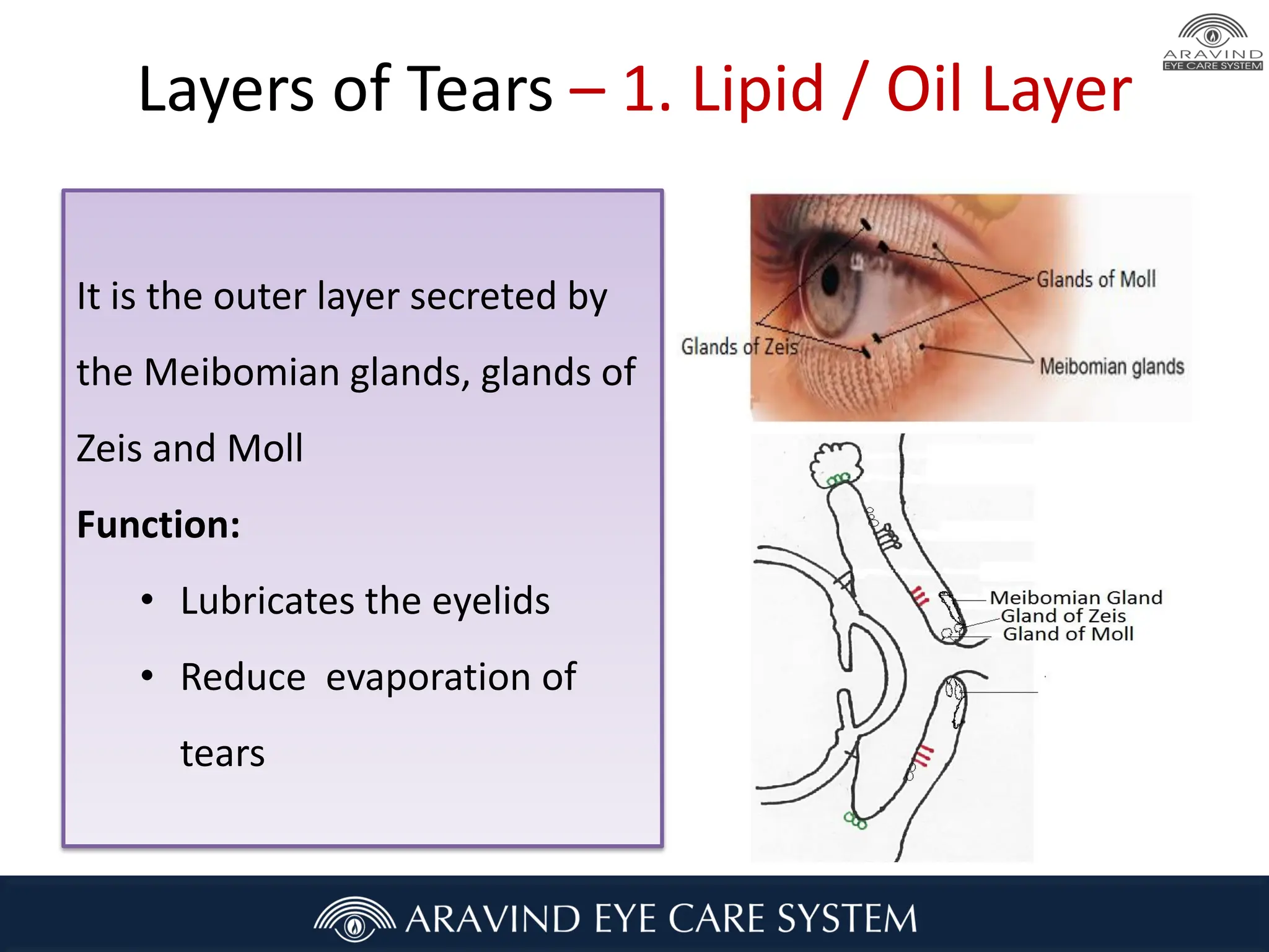 Anatomy-and-Physiology-of-Lacrimal-System.pdf