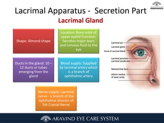 Anatomy-and-Physiology-of-Lacrimal-System.pdf